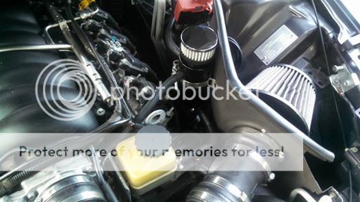 Mighty Mouse catch can