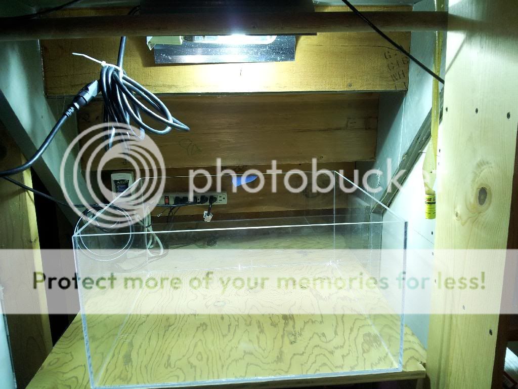 Build Thread - Frag tank being born | REEF2REEF Saltwater and Reef ...